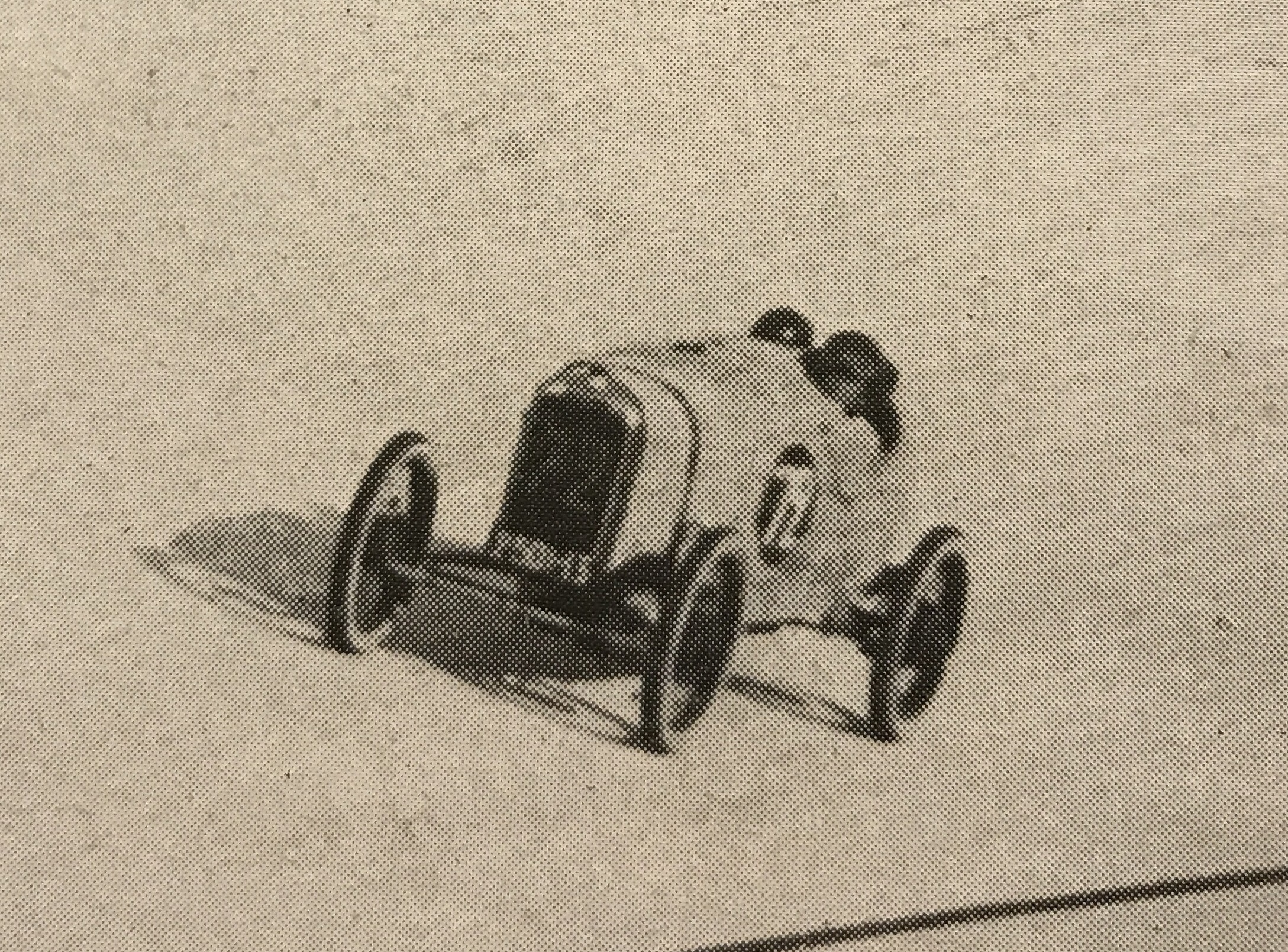 Eröffnungsrennen Cyclecar Montlhery 1924 – michis oldtimer Blog